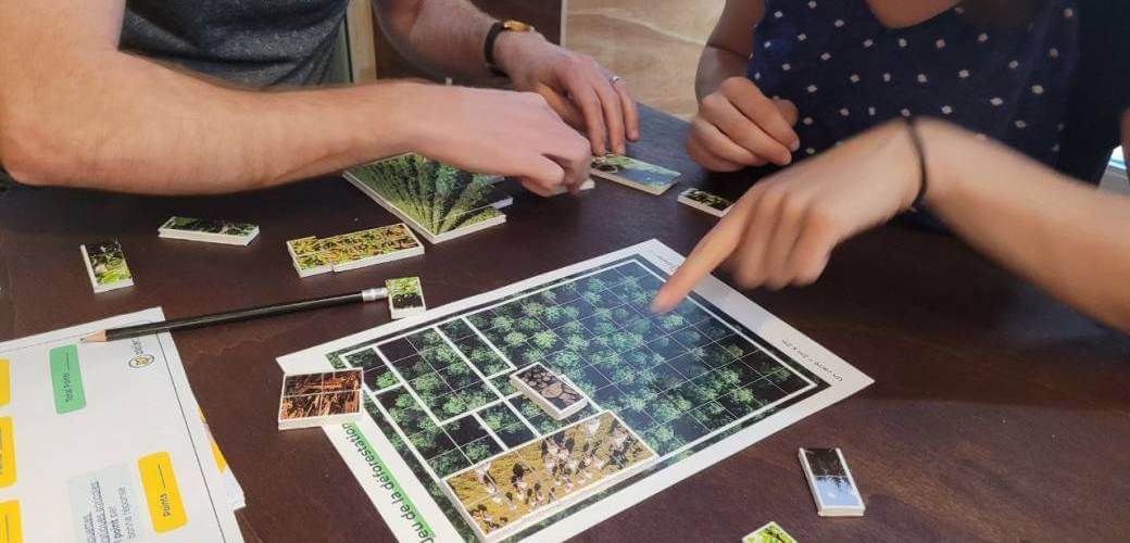 Puzzle Déforestation @Montpellier - Open Lande